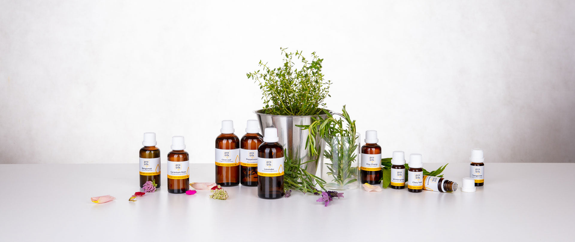 PRO-OILS AROMATHERAPY - Professional Grade Essential Oils