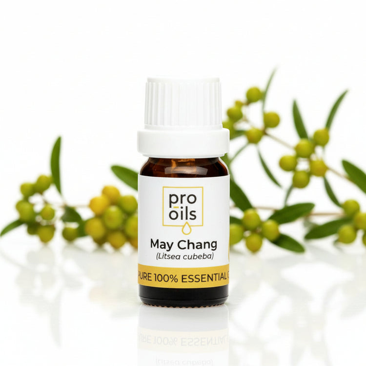Pure May Chang Essential Oil – Uplifting & Skin Balancing | PRO-OILS ...